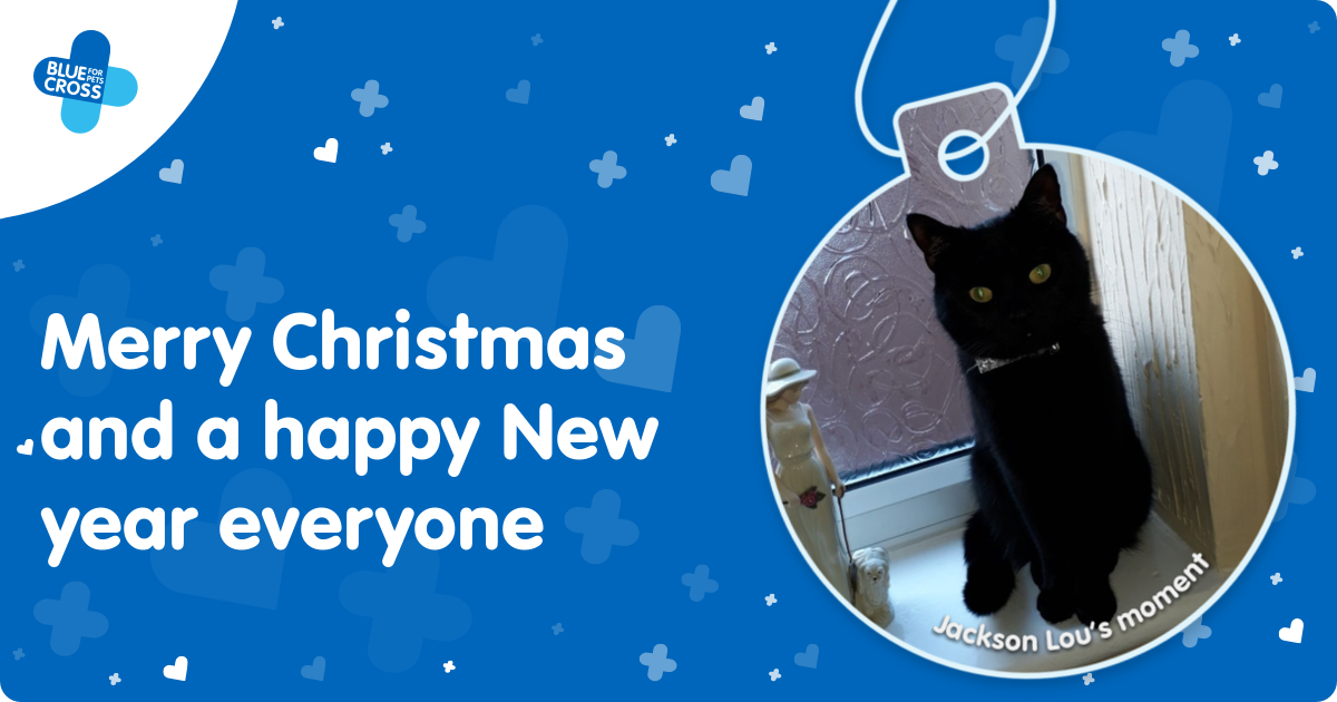 Blue Cross Moments of Joy – Jackson Lou’s Moment